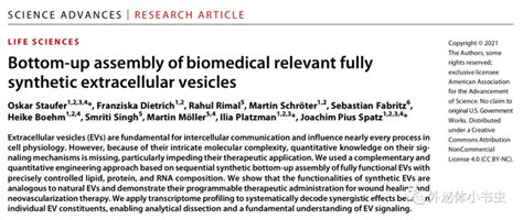 文献分享【sci Adv 】人工合成外泌体用于伤口愈合和血管再生 知乎