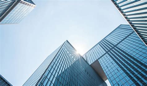 公司概况 莱伯泰科