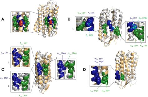 Mutation Interaction Types Four Mutation Interaction Types Are Download Scientific Diagram