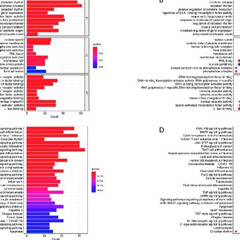 Functional Correlation Analysis Of Decrgs Between Ra And Control