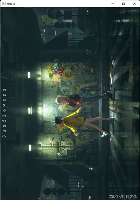 Opencv Python 图片旋转90度python Opencv图像旋转90度 Csdn博客