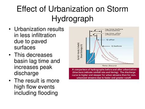 Ppt Ecology Of The Potomac Watershed Powerpoint Presentation Free