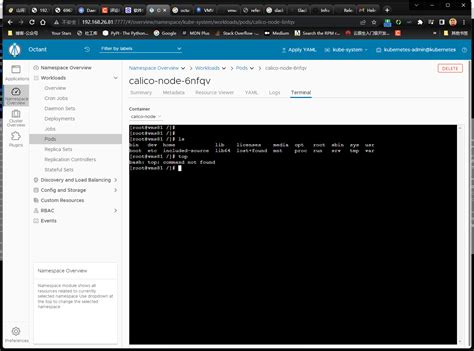 kubernetes 分享一个可以展示资源视图的 k8s开源 web 桌面 客户端工具 octant 云社区 华为云