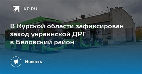 В Курской области зафиксирован заход украинской ДРГ в Беловский район Kp Ru