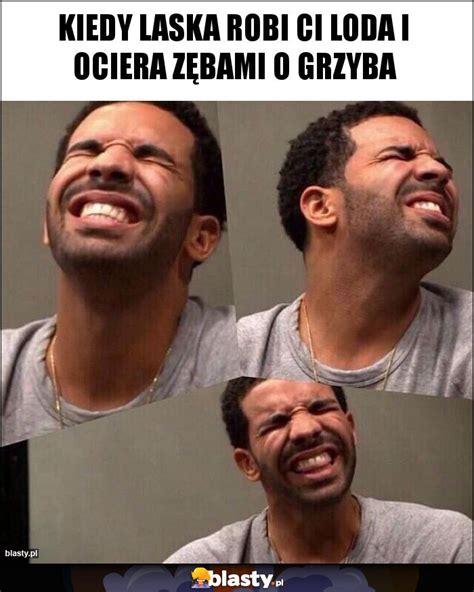 Kiedy Laska Robi Ci Loda I Ociera Zębami O Grzyba Memy Y I śmieszne