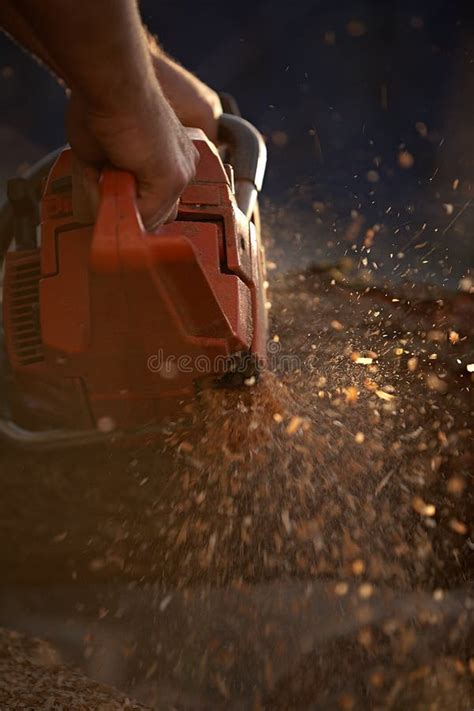A Man Cutting Tree With Chainsaw Stock Photo Image Of Horizontal Equipment 106842368