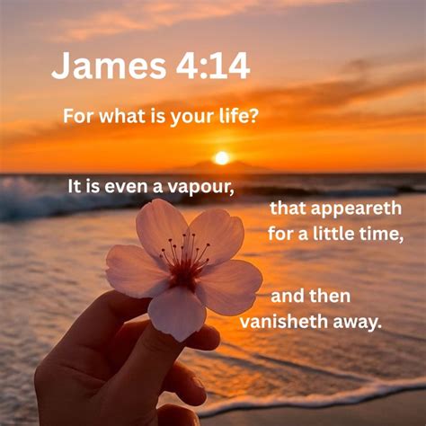 What We Can Learn From The Life Of Daniel In The Bible Biblical Life Lessons