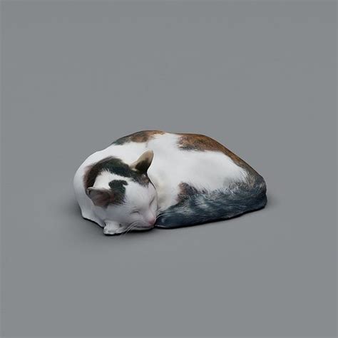 Realistic Sleeping Cat 3d Model