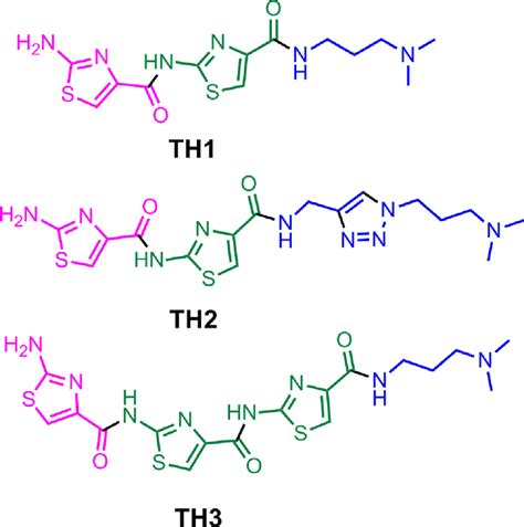 Structure Of Thiazole Peptides Th 1 3 Download Scientific Diagram
