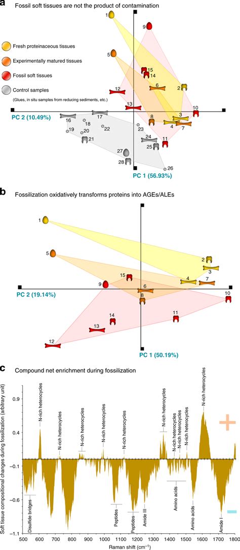 Chemospace And Dissimilarity Plot Showing Chemical Similarity Between Download Scientific