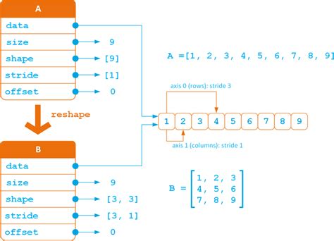memory organisation after array reshaping download scientific diagram