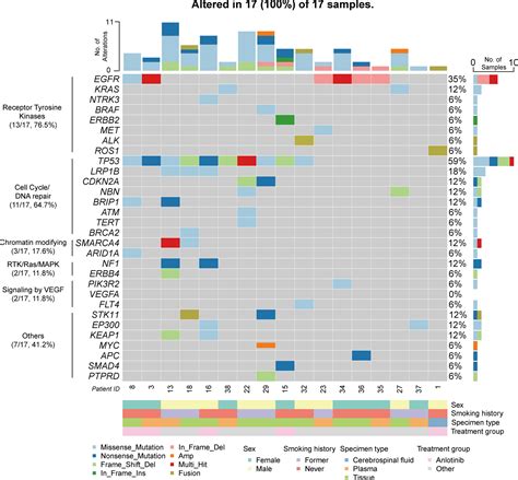Frontiers Genomic Profiling Of Non Small Cell Lung Cancer With The