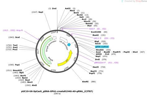 Addgene