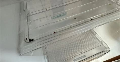 4시간정도 소요됐어요 꼼꼼하게 잘해주셔서 정말 감사합니다 가격도 좋았고 특히 급하게 견적받았는데도 시간을 다 맞춰주셔서 좋았어요 재방문 의사있습니다 숨고 숨은고수