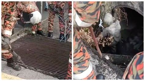 Lelaki Terperangkap Dalam Longkang Di Kajang Cetus Tanda Tanya Netizen [video] Syok