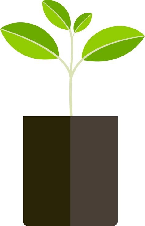 Sapling Tree Flat Color 18925493 Png