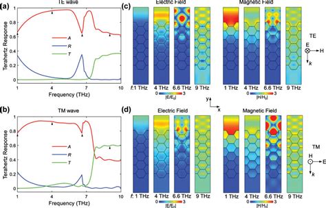 Thz Spectral Response And The Corresponding Electromagnetic Field