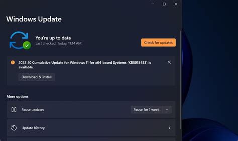 How To Fix The “d3d11 Compatible Gpu” Error In Windows 1110