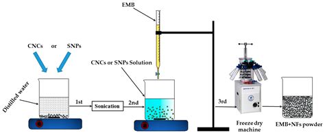 Synthesis Characterization And Pesticidal Activity Of Emamectin Benzoate Nanoformulations
