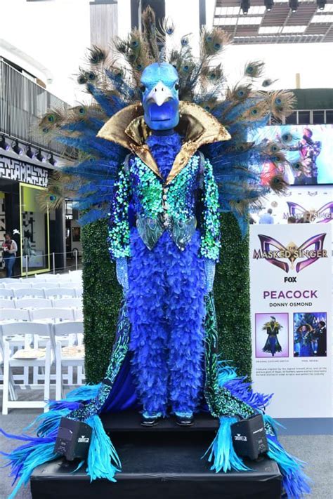 Donny Osmond Wore The Peacock Costume On The Masked Singer Themaskedsinger Costumes