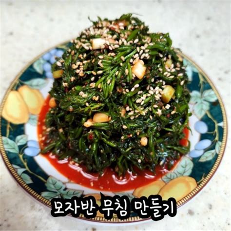 네이버 인플루언서