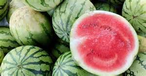 곧 제철인데 대충 고르면 낭패…맛있는 수박 고르는 진짜 포인트