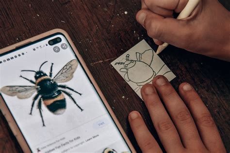 Bee Unit Study Homegrown Adventures