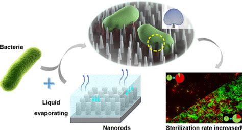 Surface Tension Modulation Induced Sterilization Of TiO2 Nanorods For Antibacterial Applications