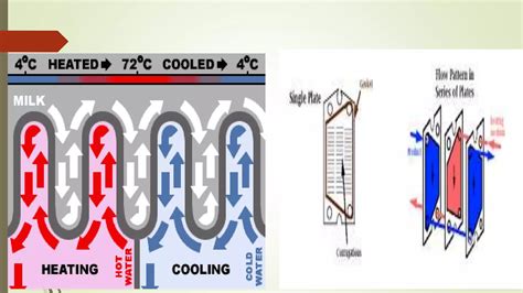 Milk Pasteurization Pptx