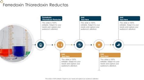 Ferredoxin Thioredoxin Reductas Powerpoint Presentation And Slides Slideteam