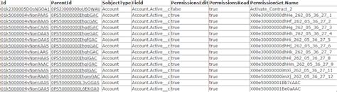 Salesforce Query Fields Permission