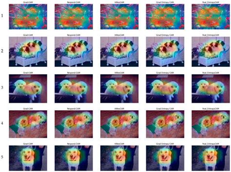 Enhancing Explainability In Convolutional Neural Networks Using Entropy Based Class Activation Maps