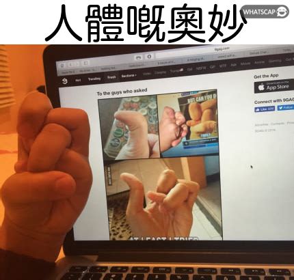 人體嘅奧妙 Whatscap