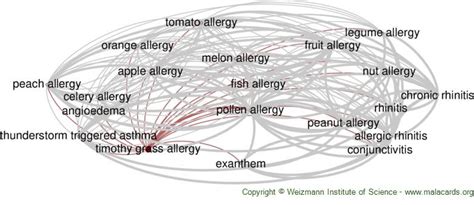 Timothy Grass Allergy Disease Malacards Research Articles Drugs Genes Clinical Trials