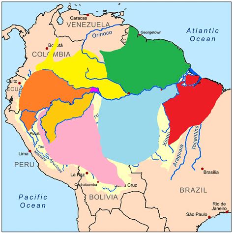 Collins Squirrel Monkey Facts Diet Habitat And Pictures On Animaliabio