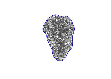 12 Spatial Poisson Models Applied To Plant Diversity Introduction To
