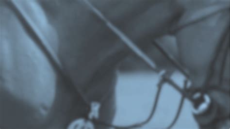 Classical Greek Verbal Multi Word Expressions Parseme Grc Free Courses With Certificates