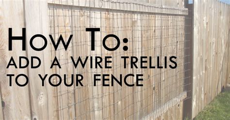 Add A Wire Trellis To Your Fence Love My House