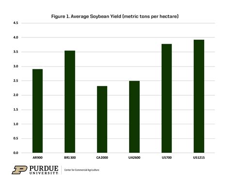 International Benchmarks For Soybean Production 2024 Center For