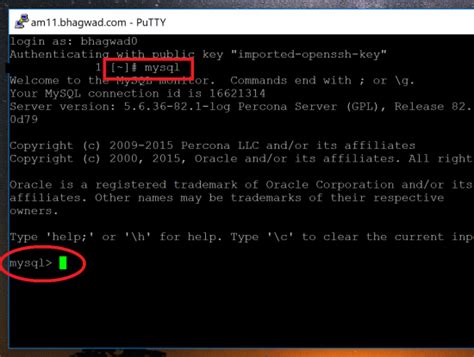 How To Get The Innodb Buffer Pool Size Via Ssh Wp Tweaks