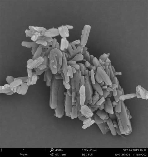 Api Solid State Robust Characterization In Key To Cut Costs And Time