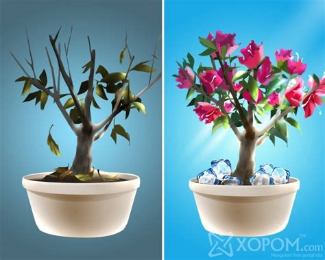 Цэцэгний ургалтанд нөлөөлөх цэцэг арчилгааны энгийн арга