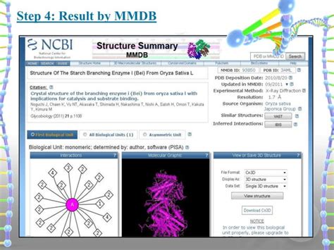 Introduction To Ncbi Pptx Databases Computer Software And Applications