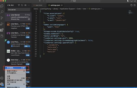 VS Code Live Server vscode live server CSDN博客