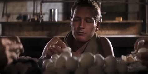How Many Eggs Cool Hand Luke Eats In The Movie And How Many Paul Newman