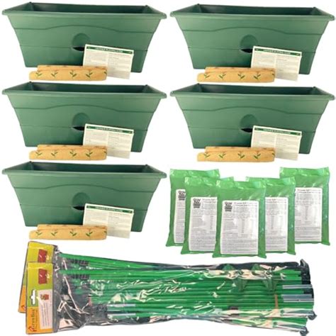 10 Best Grow Boxes 2025