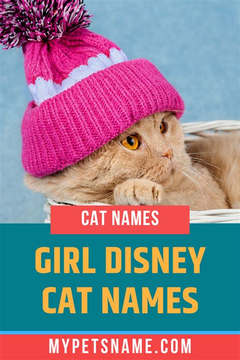 200 Disney Cat Names A List Of Every Disney Name For Cats Artofit