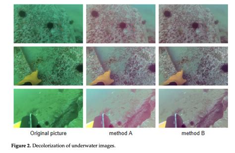Enhancing Underwater Image Segmentation With Deep Learning A Novel