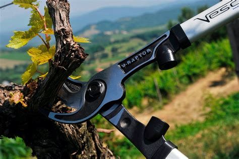 Everything You Need To Know About Tree Loppers Metrogreen