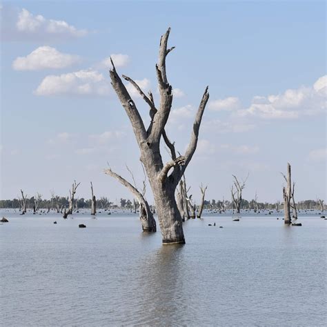 Spencer Levesque Youtube